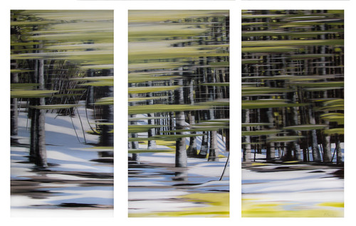 Spring Newfoundland | vivavidaartgallery