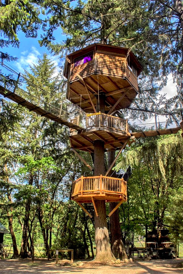 Out'n'About Treehouse | New York | Hudson Valley Happenings