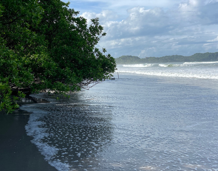 Things to do in Nosara, Guanacaste - Costa Rica | Pura Vida Traveling