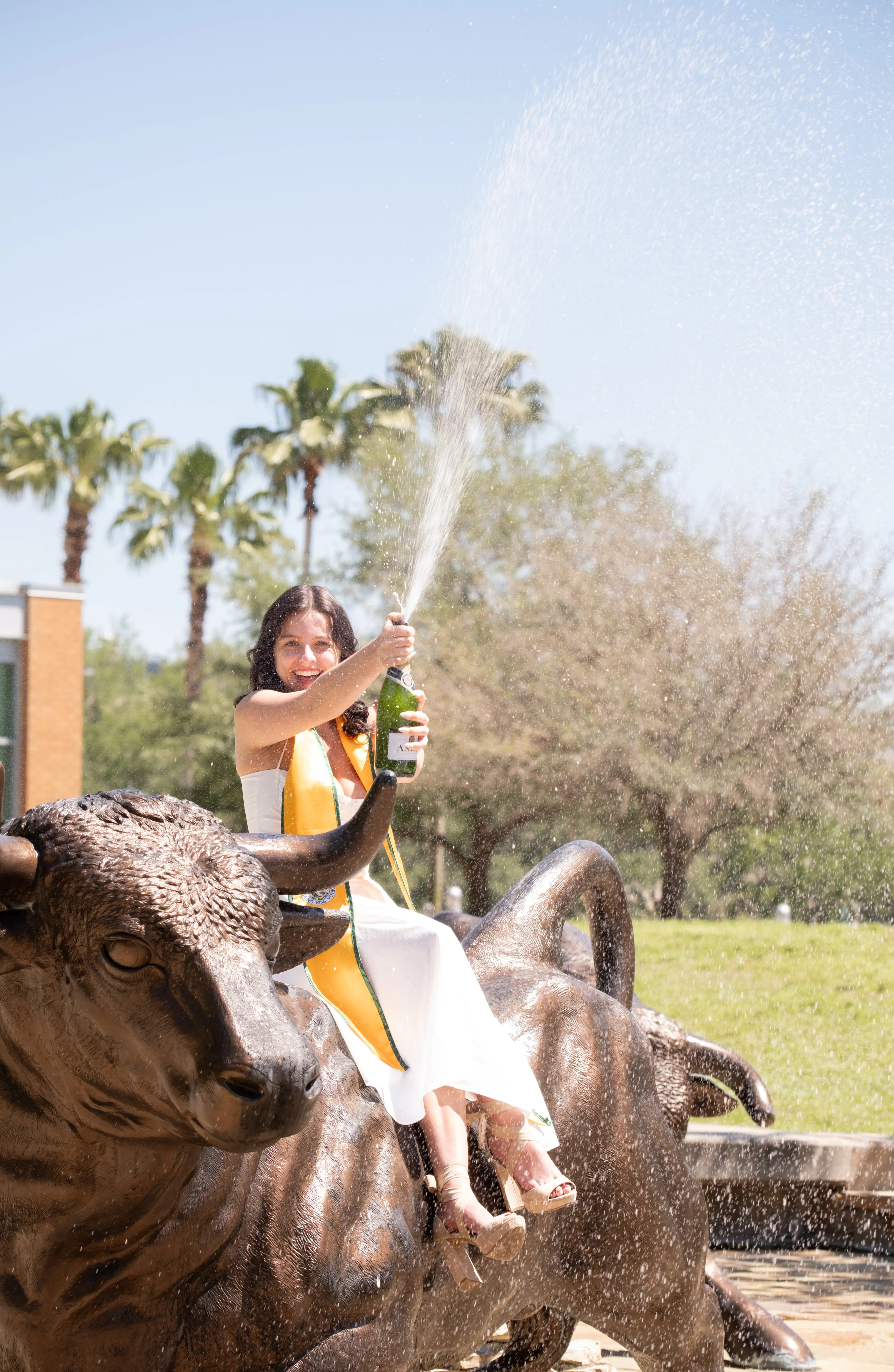 Tampa Grad Photos | Tampa Graduation Photographer: Book Now!