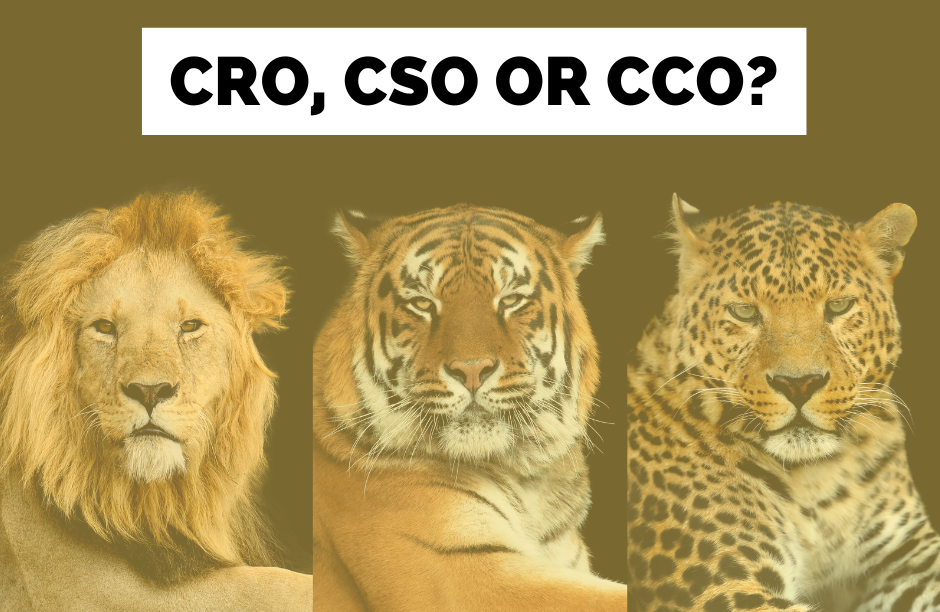 Differentiating Between the CRO, CSO or CCO | The Lucent Group