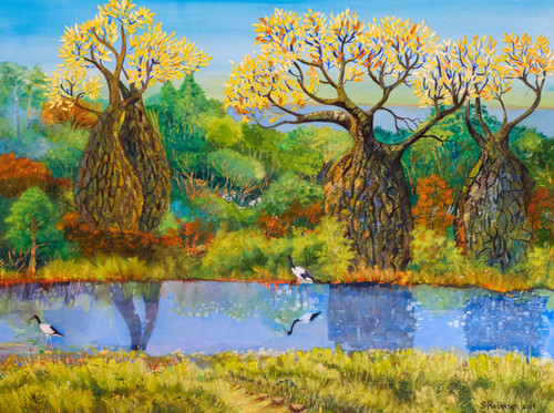 Boab Trees | Art Advocacy