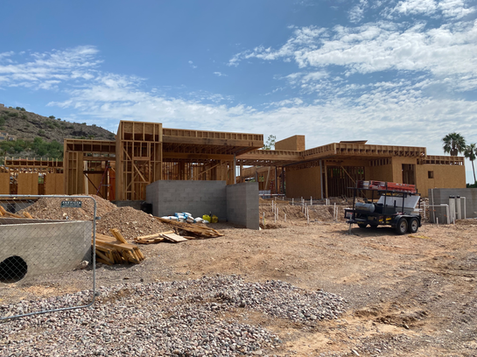 Projects | Square Tree Framing