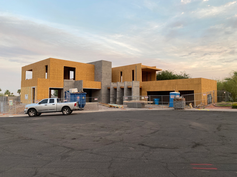 Projects | Square Tree Framing