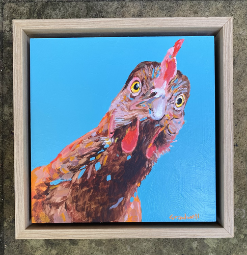 Chook II | Kate Gradwell Art