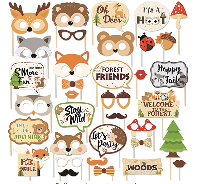 One-Year-Old Birthday: Park Ranger National Parks Theme