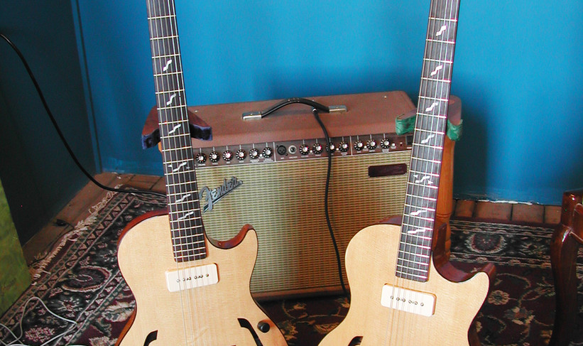Electric Guitars | Lehmann Strings
