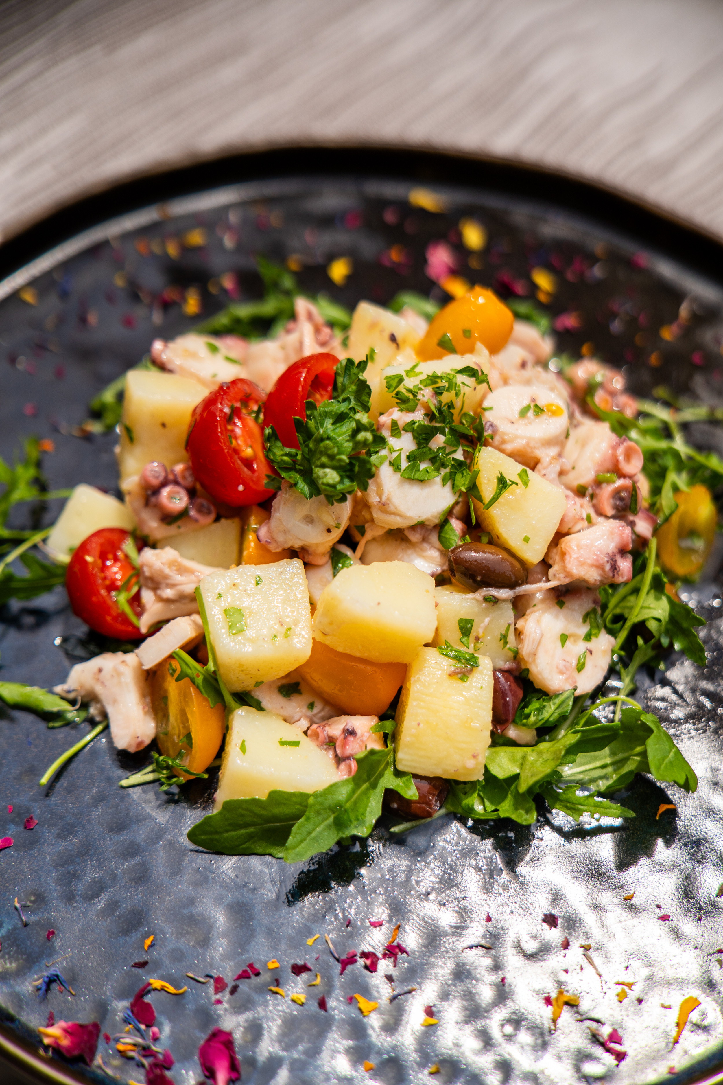 Discover the Secret of Perfect Octopus: The Irresistible Magic of Fanal ...