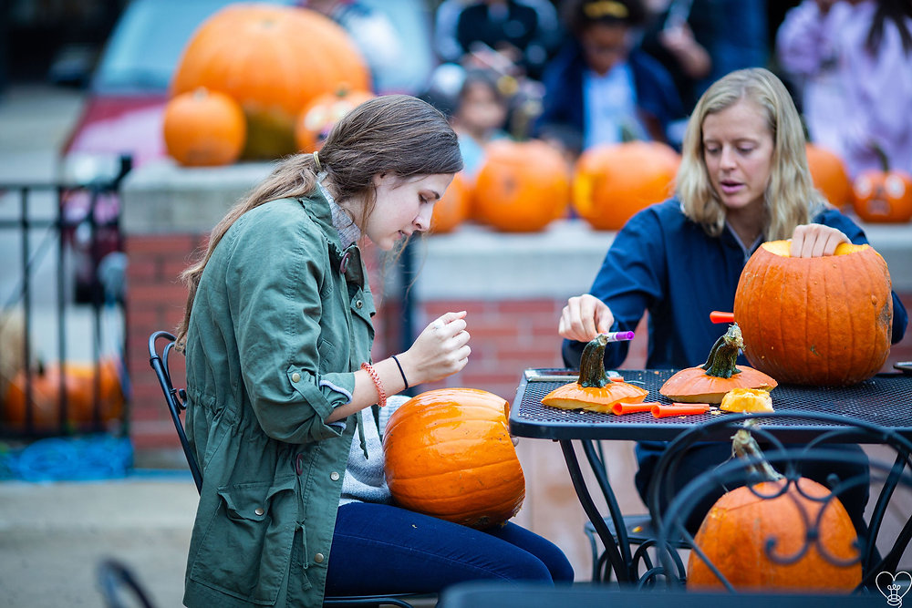 Fall Activities in Downtown South Bend 2024