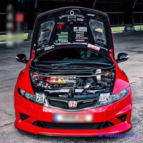Honda Civic FN2 - Mugen Style Grille | SK Performance