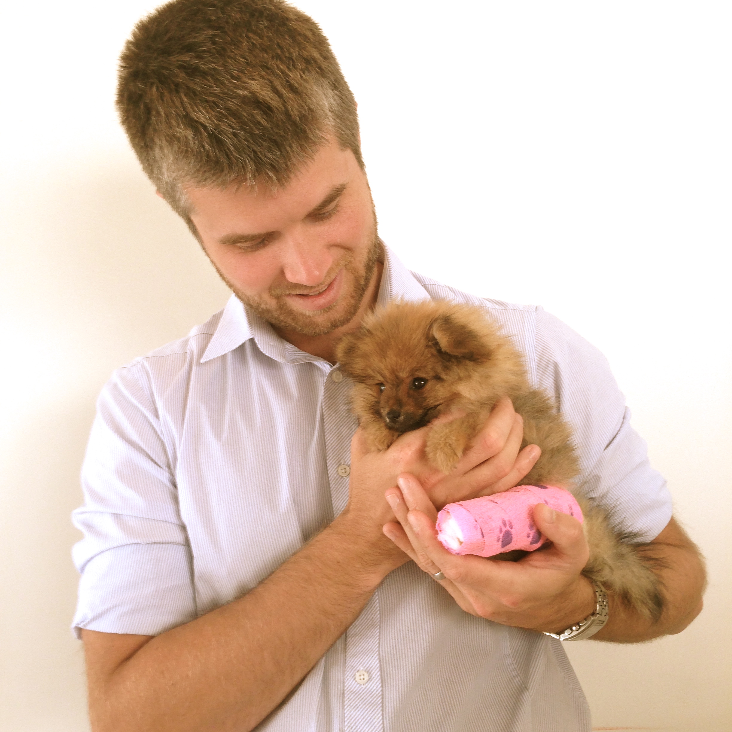 Belrose Veterinary Hospital