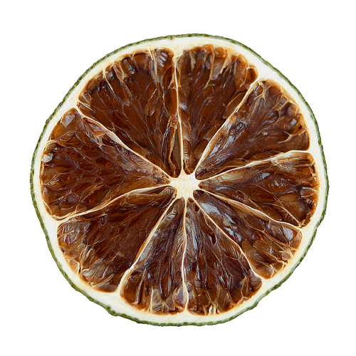 Dehydrated Lime Wheel | DRINK COSMOS