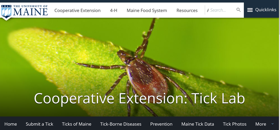 Best protection against tick-borne diseases is to be "Tick Wise"