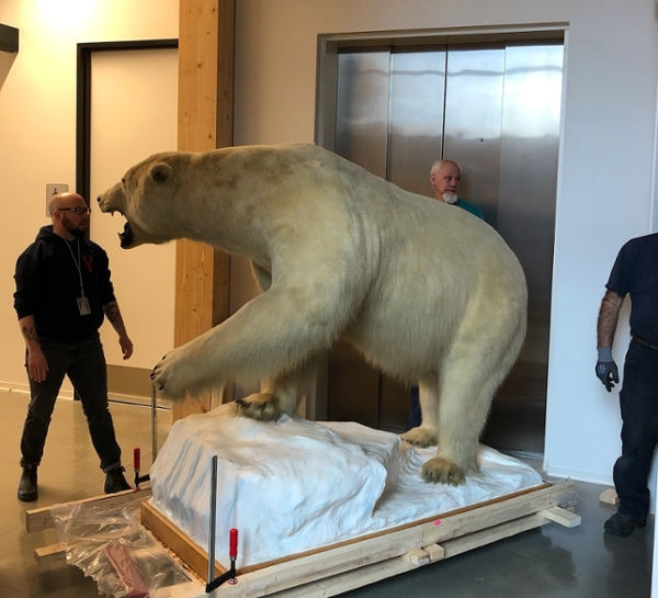 New Building Gives New Life to Bowdoin's Arctic Museum