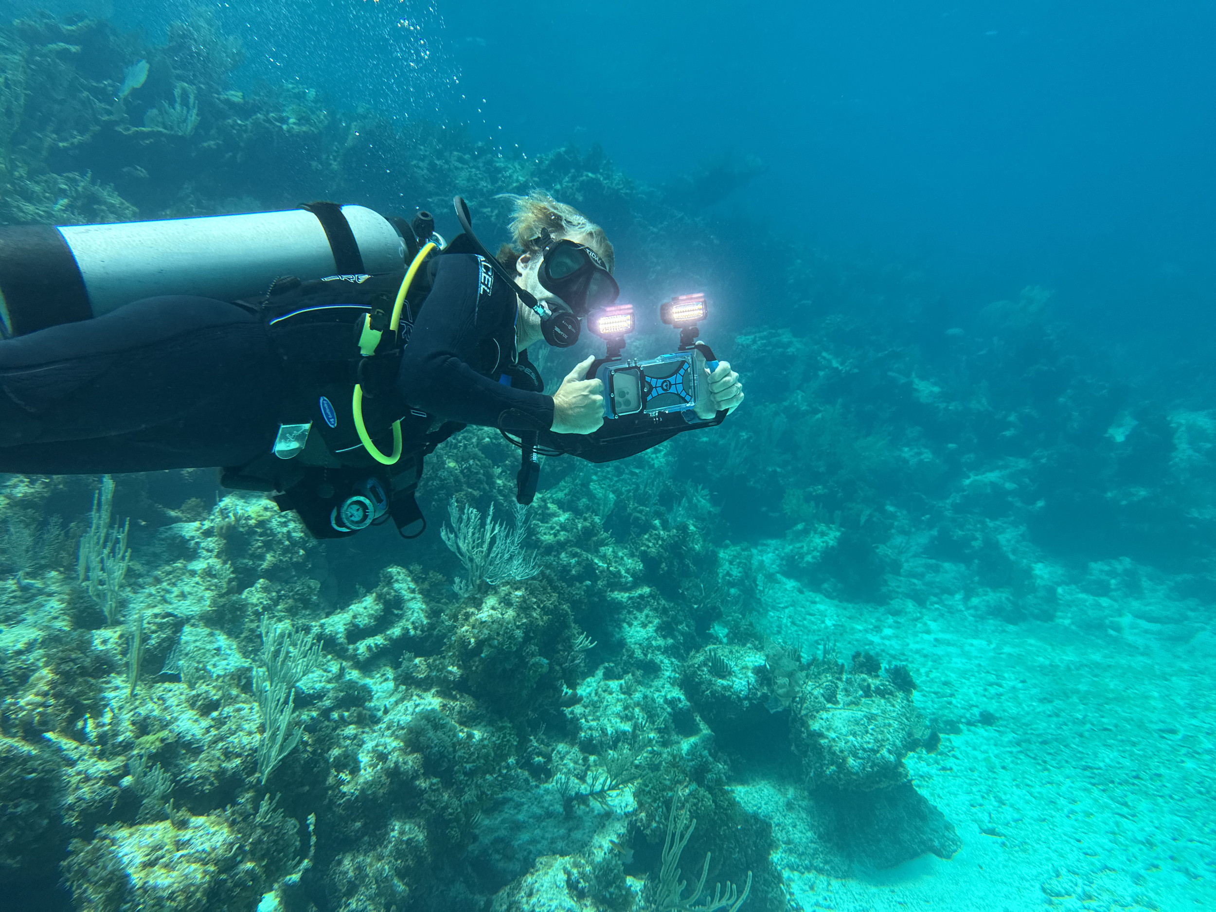 Capturing the Deep: Tips for Using ProShot Cases Underwaterhttps ...