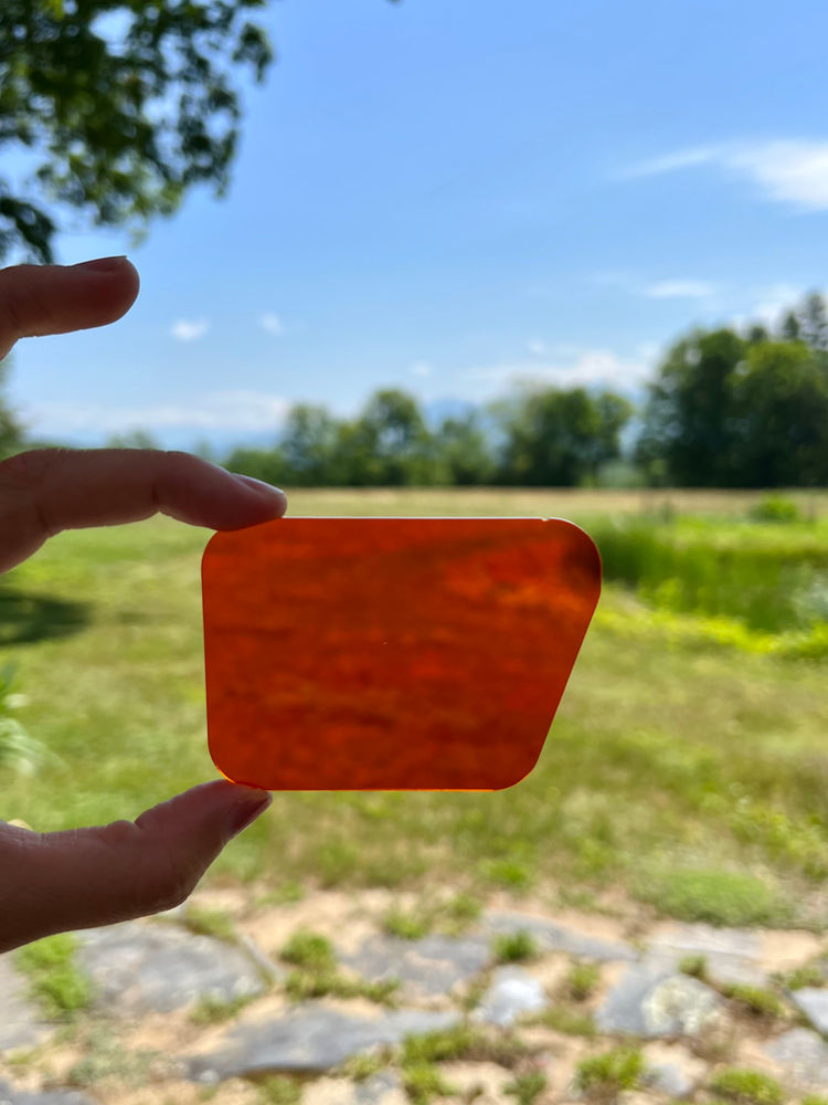 A Guide to Using Red Filters for Underwater Photography