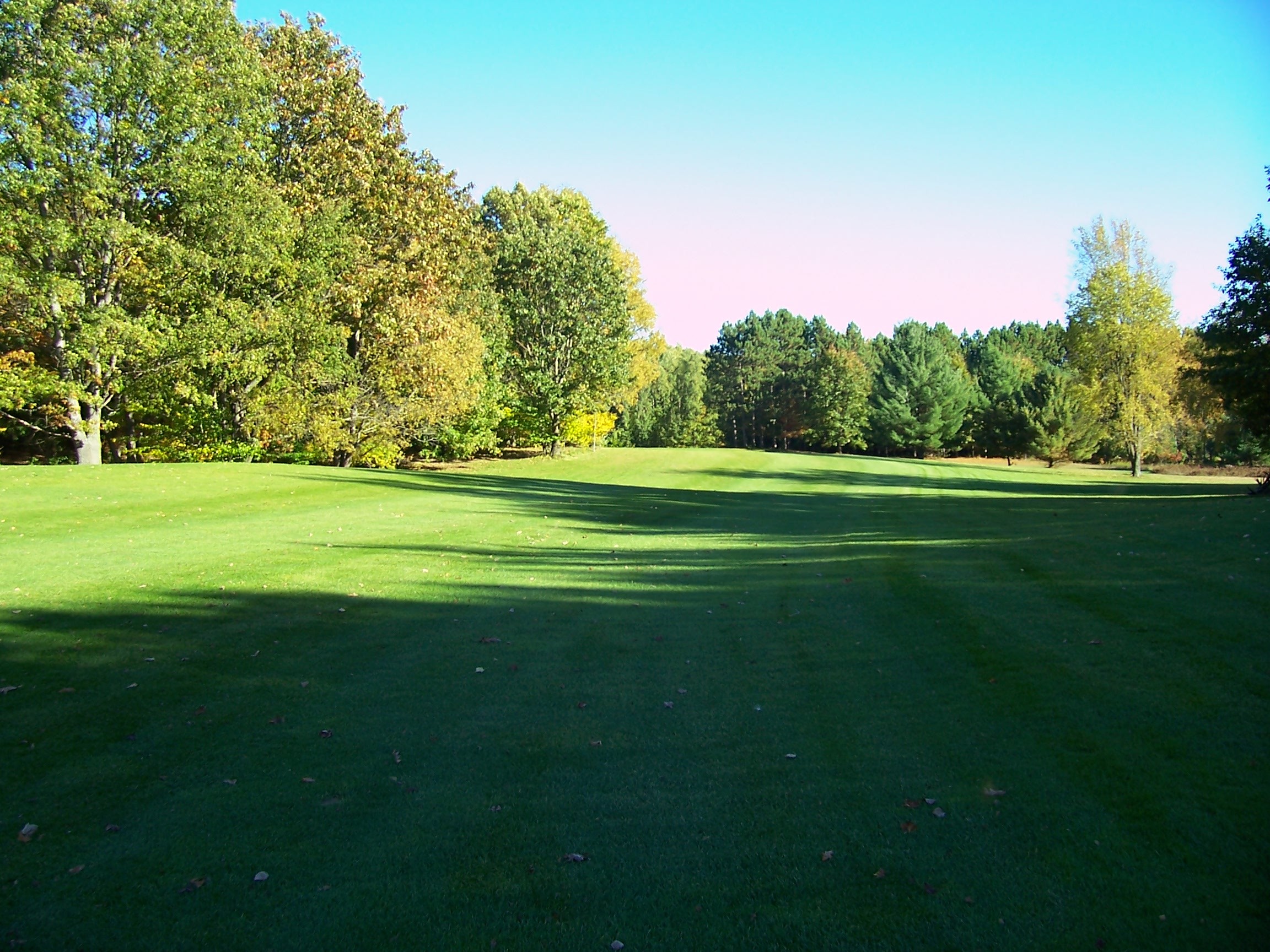 LEAGUES | springvalleygolf