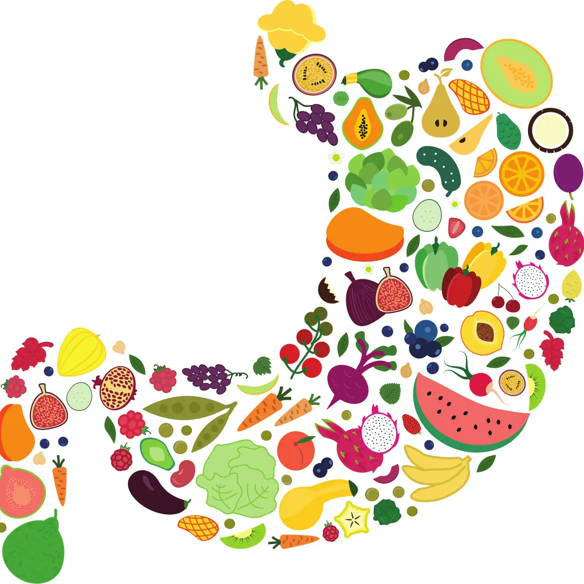 slokdarm, maag en darm | MDL ANTWERPEN