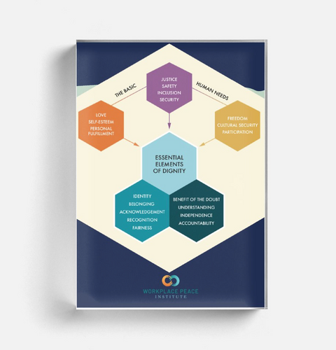 Basic Human Needs Framework Acrylic Reflection Block | Workplace Peace Inst