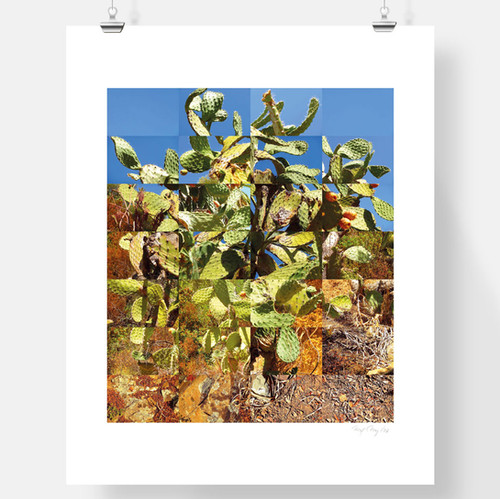 Noel Myles - Corsican Cactus (5) | Mill Tye Gallery