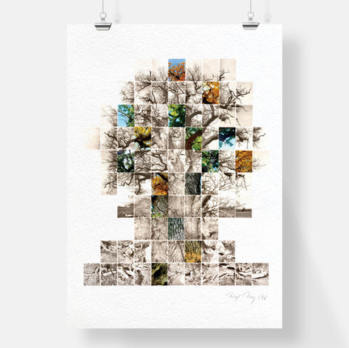 Noel Myles - Polstead Oak No.3 | Mill Tye Gallery