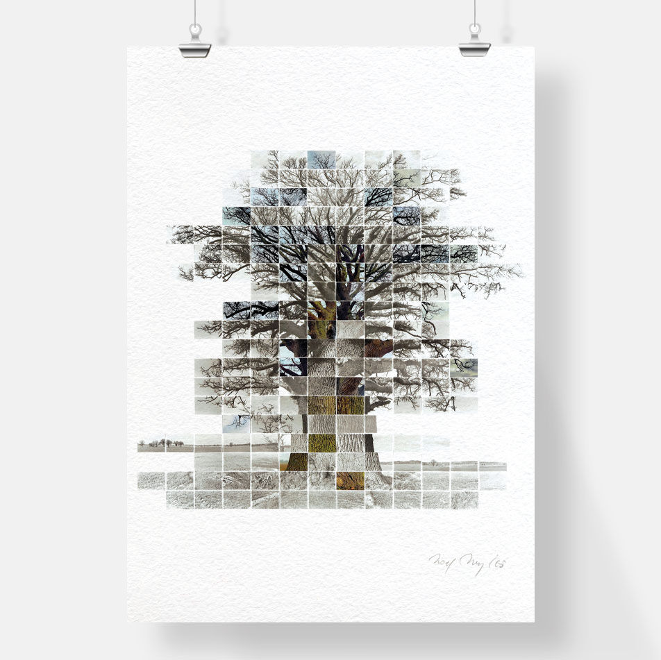 Noel Myles | Mill Tye Gallery