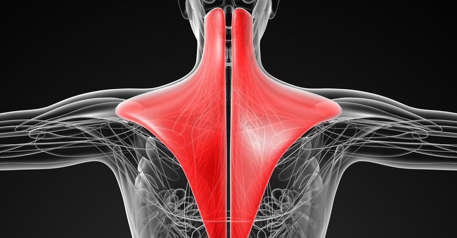 Beyond Facial Rejuvenation: Botox Injection for Trapezius Contouring