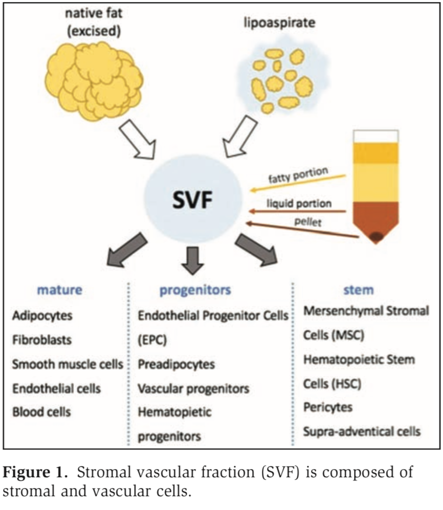 Biofilling and Biocontouring with Milli, Micro & Nano Fat