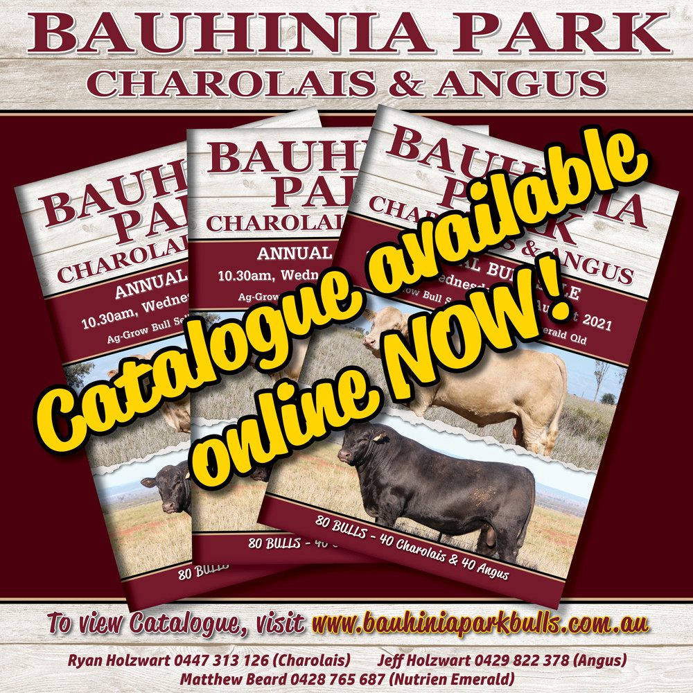 2021 Bull Sale Catalogue Online NOW!