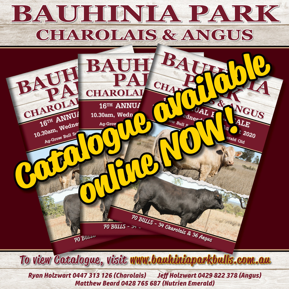 2020 Bull Sale Catalogue Online NOW!