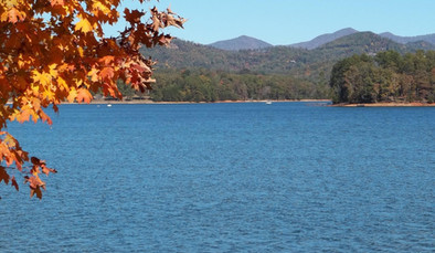 THINGS TO DO | Walnuthollowranch