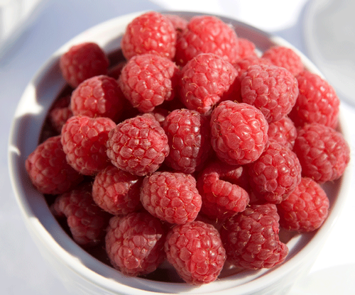 Raspberry-Rhubarb | Becker Farms