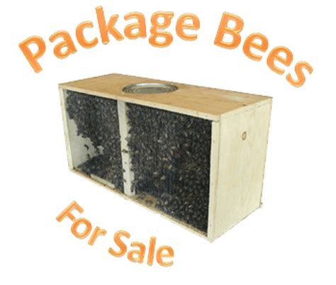 3 lbs. Italian Honey Bees | Valentour's Honey Be