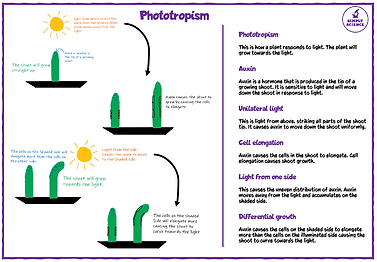 Biology Revision | Simply Science