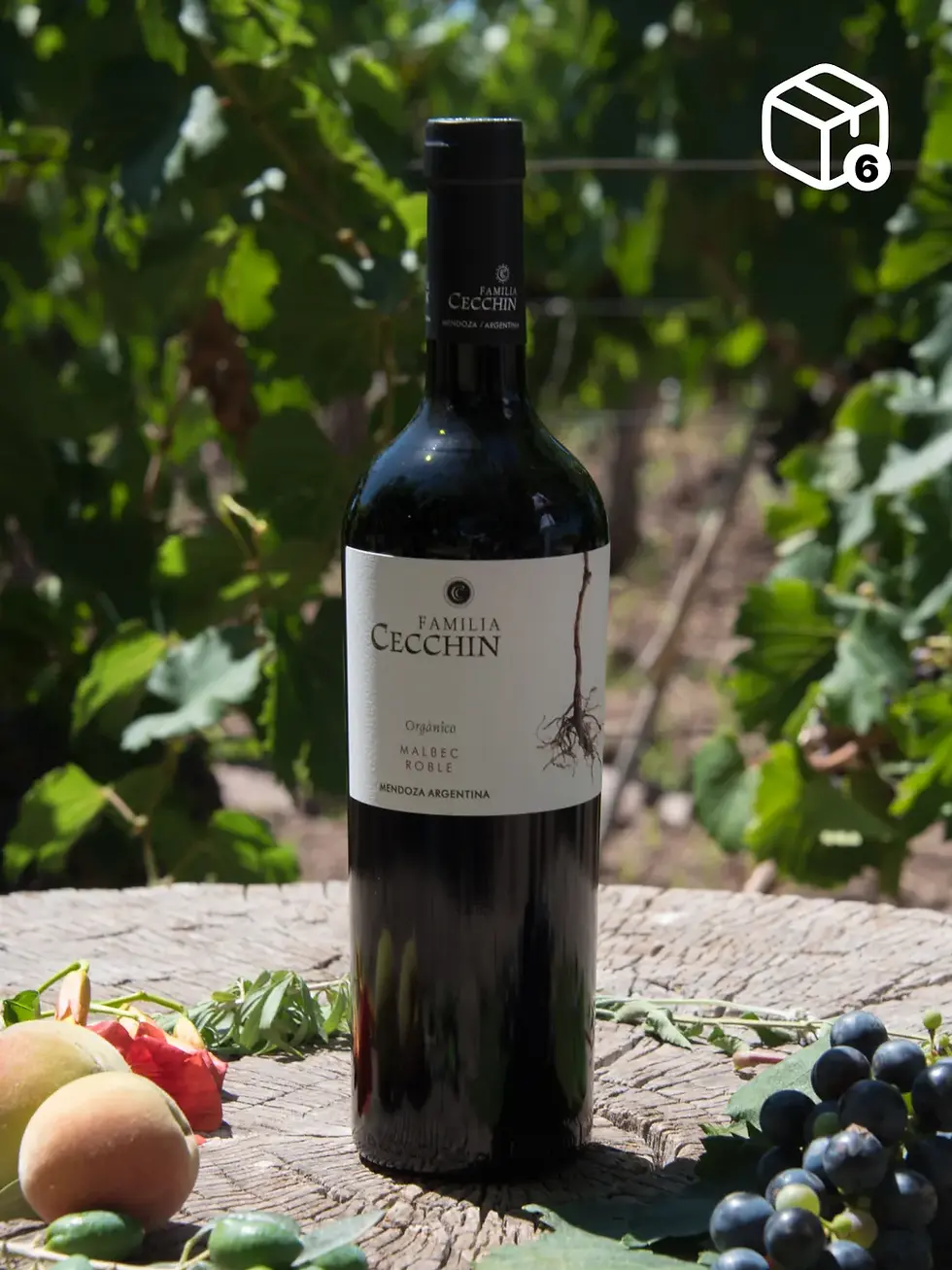 TIENDA | Bodega Cecchin