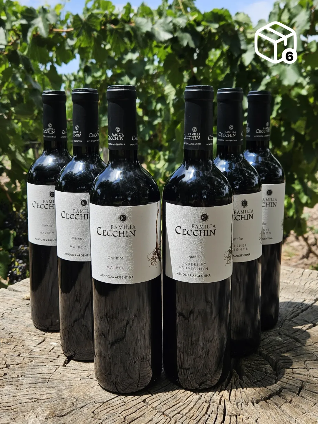 TIENDA | Bodega Cecchin