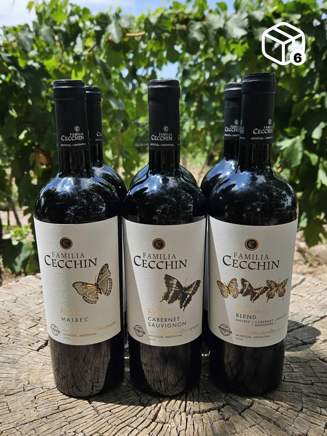 TIENDA | Bodega Cecchin