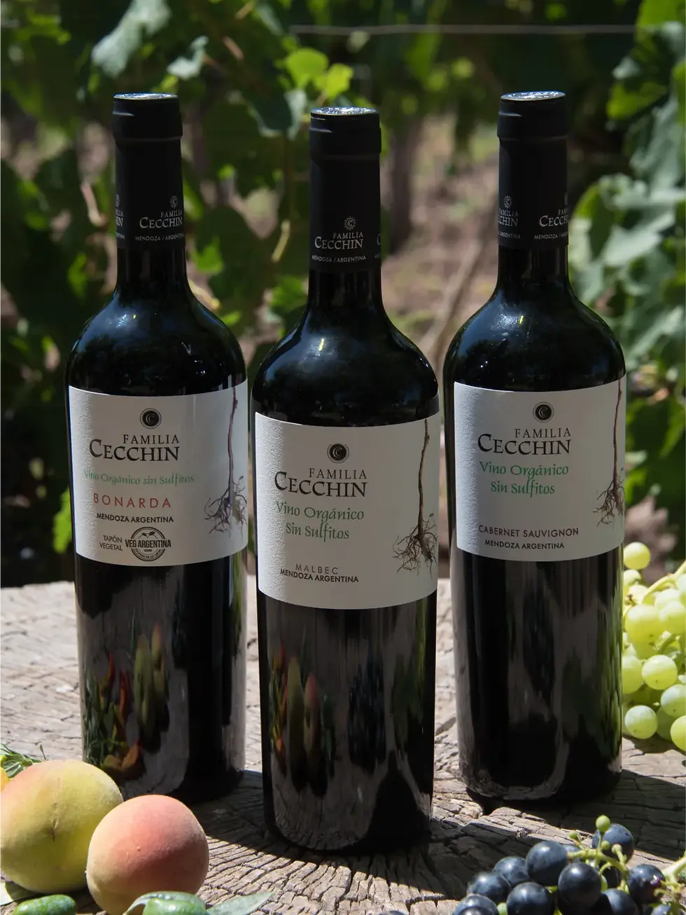 Línea Familia Cecchin Sin Sulfitos | Bodega Cecchin