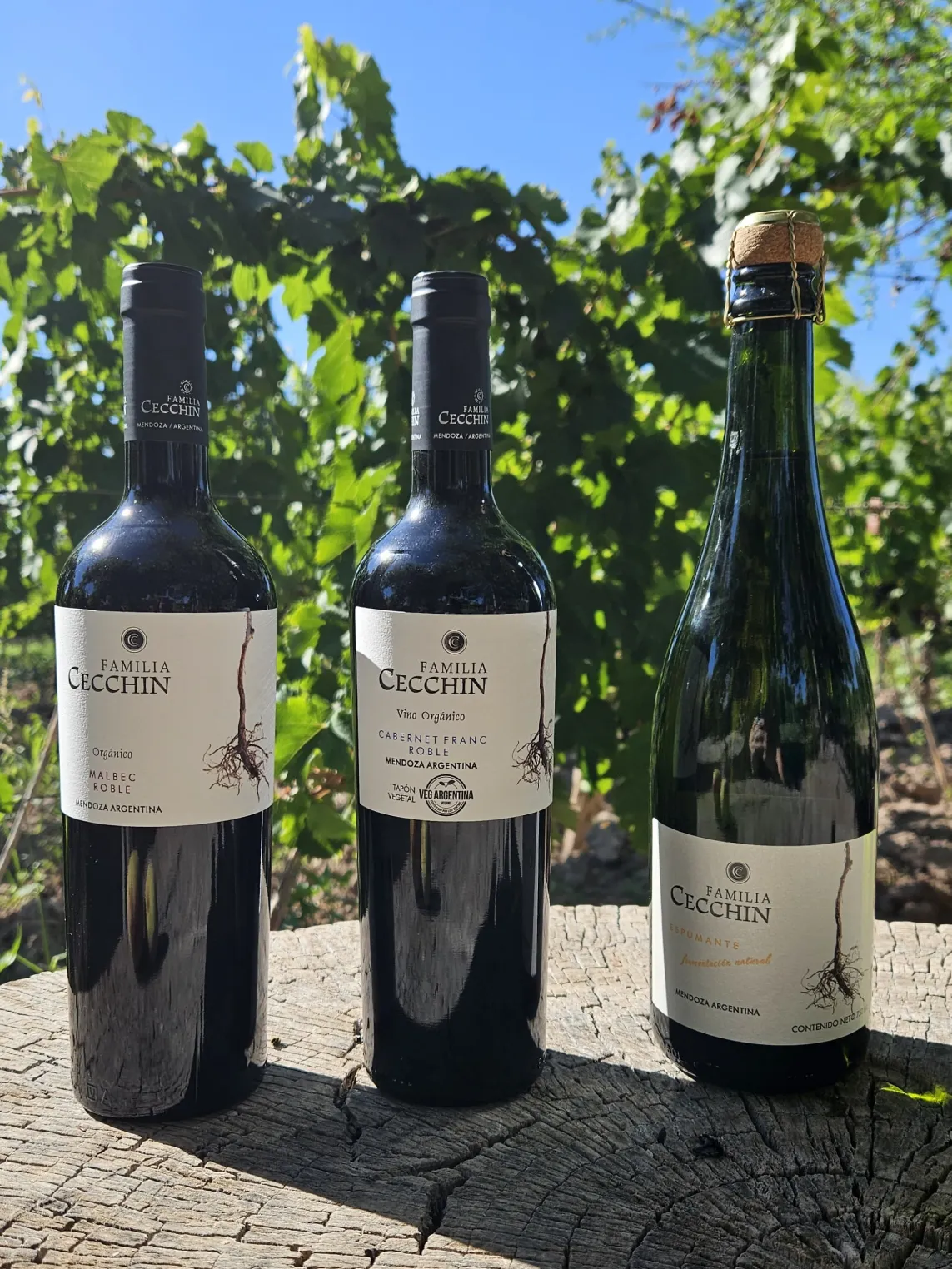 VINOS ORGÁNICOS | Bodega Cecchin