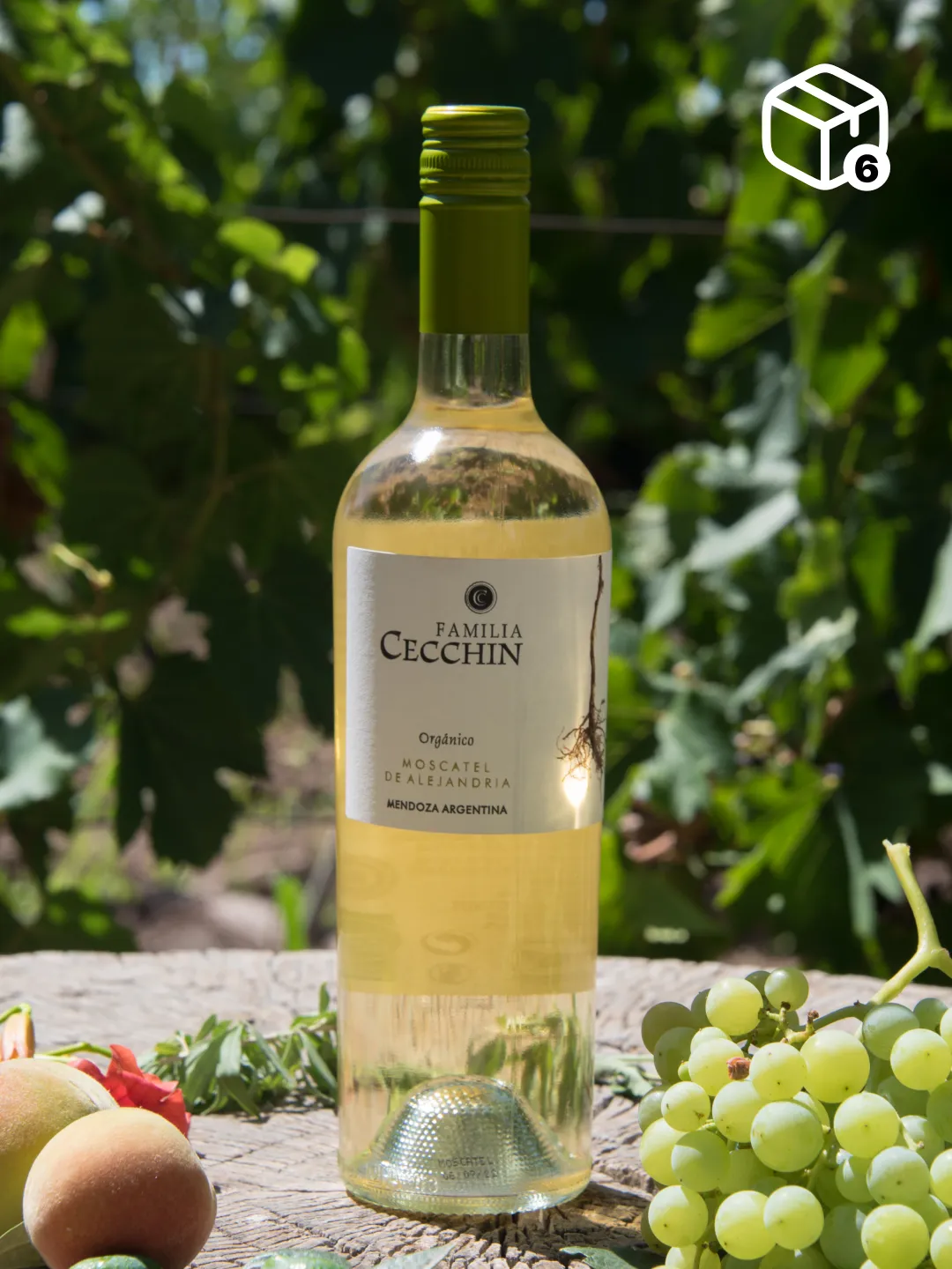 TIENDA | Bodega Cecchin