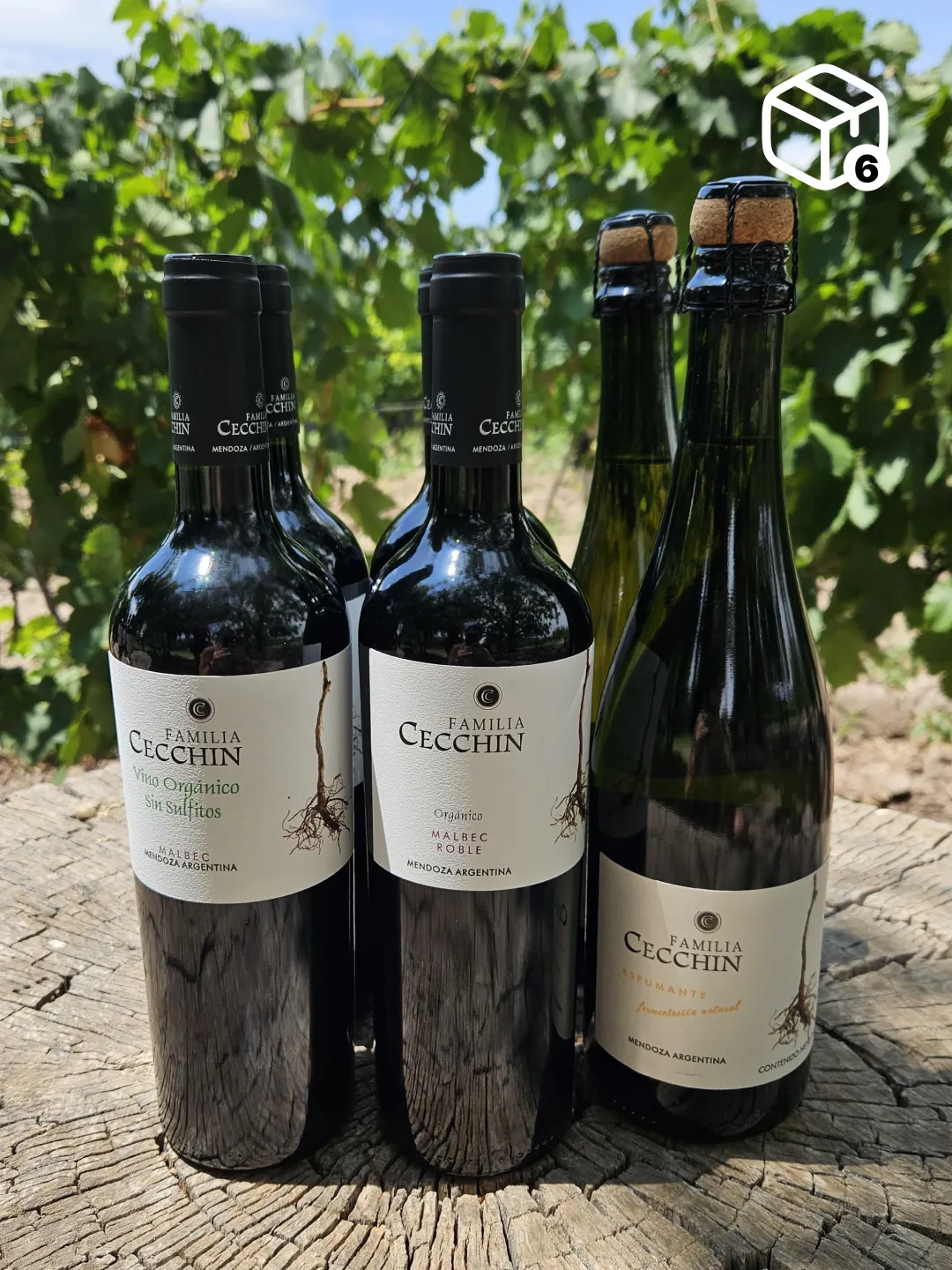 TIENDA | Bodega Cecchin