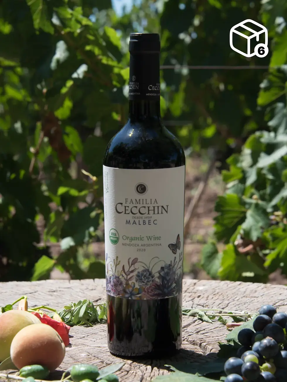 Vino Orgánico Malbec (6 x 750ml) | Bodega Cecchin