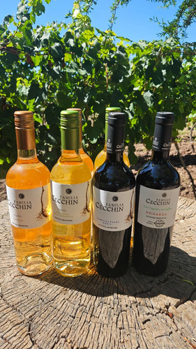 Combo Identidad | Bodega Cecchin