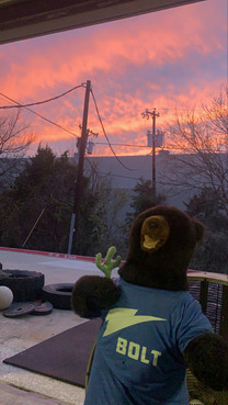 HOME | Crossfit Bolt