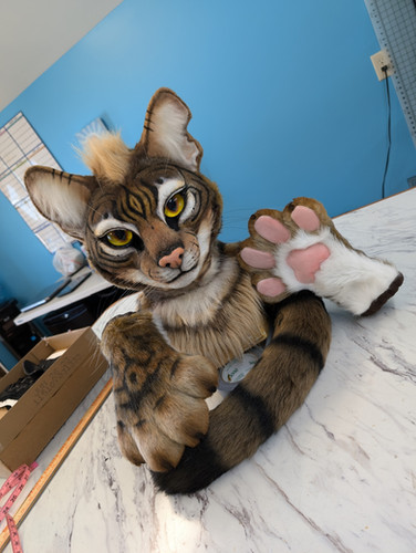 Realistic tabby cat - refurbished fursuit partial | Stuffed Panda Studio
