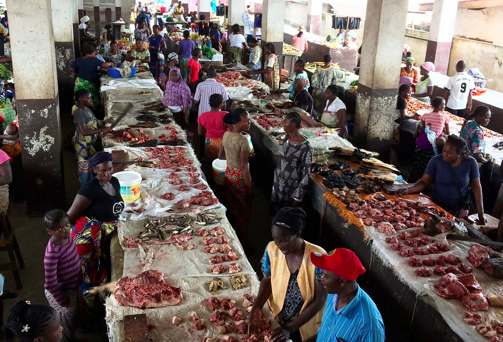 Liberia as a transit point for illegal wildlife trade