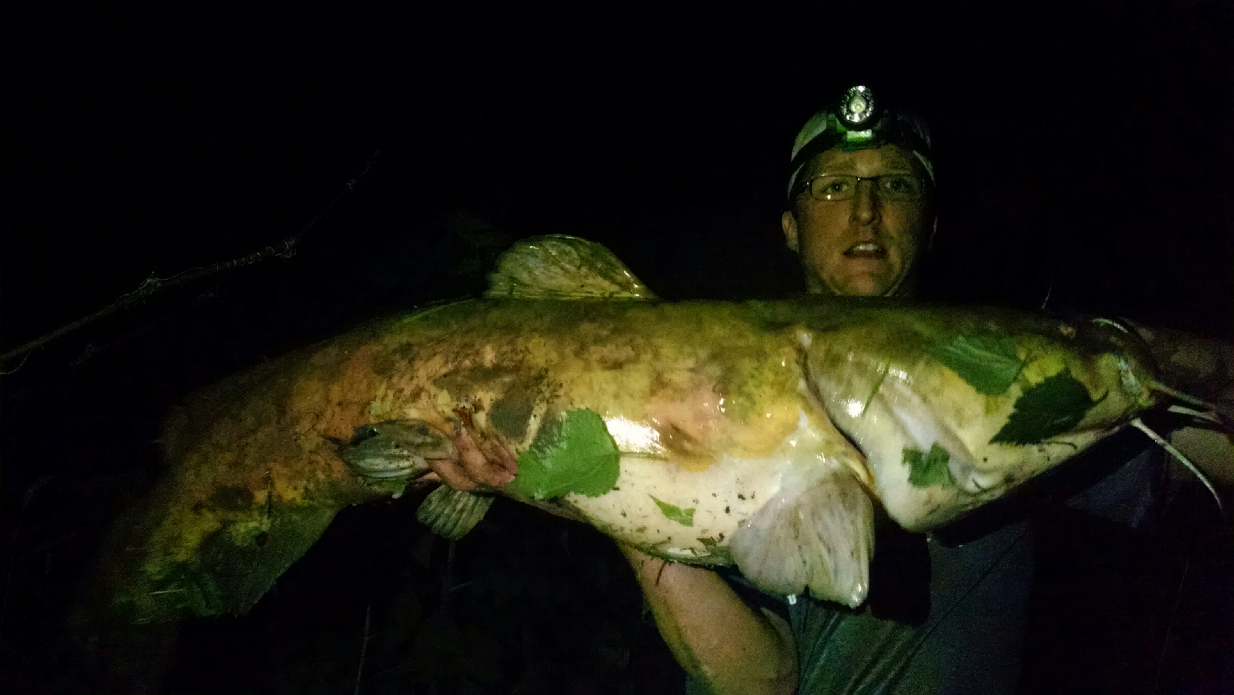 CATFISH FISHING CATFISH GETTERS, CATFISH PICTURES, PICTURES OF CATFISH