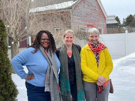 Lea Webb for NY State Senate