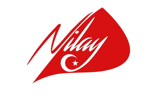 Turkish Belly Dancer Nilay Bakersfield Los Angeles Fresno Bay Area