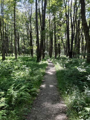 Gallery | Warren County Visitors Bureau | Warren